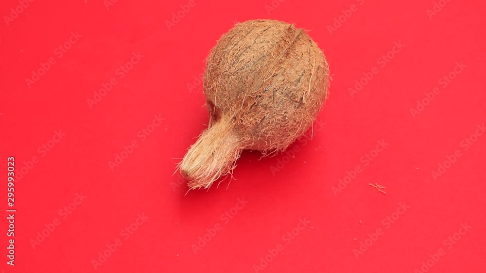 One whole coconut on a red background. Top view. Copy of space. Design ...