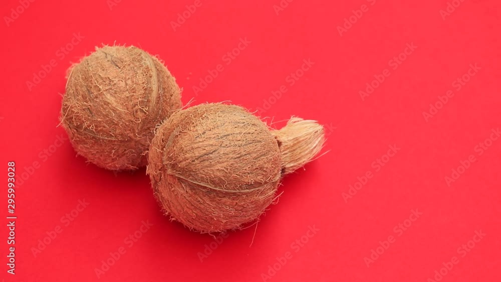 One whole coconut on a red background. Top view. Copy of space. Design ...