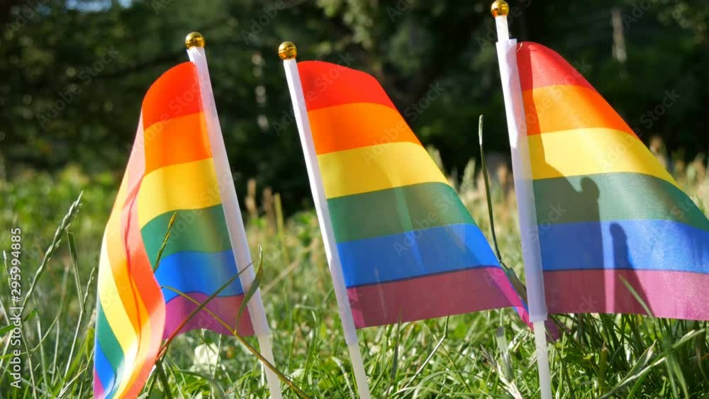 Symbol of LGBT Gay lesbian transgender queer rights, activism love ...