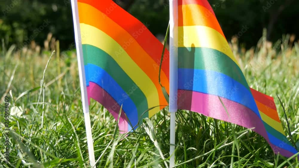 Symbol of LGBT Gay lesbian transgender queer rights, activism love ...