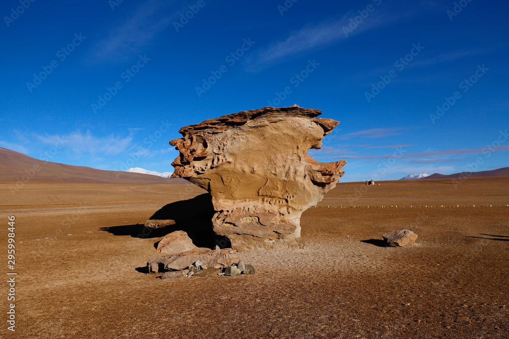 Arbol de Piedra (rock or stone tree) in the Siloli Desert. Snow-capped ...
