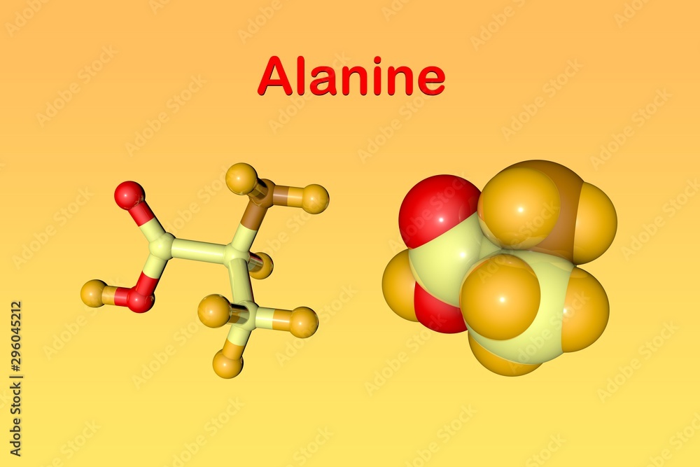 Molecular structure of alanine, an amino acid used in the biosynthesis ...