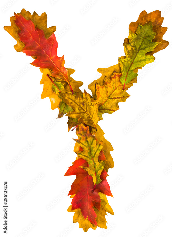 Letter Y. October. November. Text made by autumn leaves. English ...