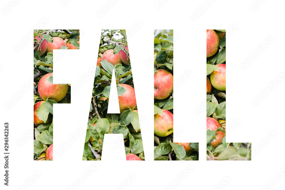 Fall Word Filled with Apples, Fall Concept Isolated on White Background ...
