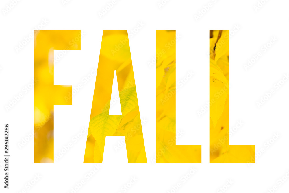Fall Word Filled with Bright Yellow Leaf Texture, Fall Concept Isolated ...