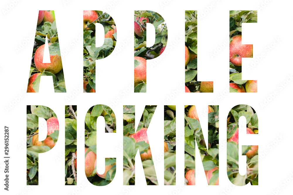 Apple Picking Word Graphic Filled with Apples, Apple Picking Concept ...