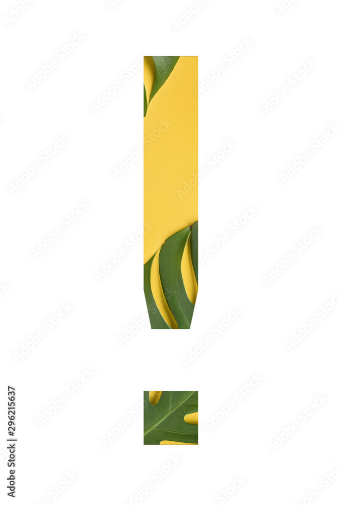 Tropical flower font symbol exclamation mark made of real alive flowers ...