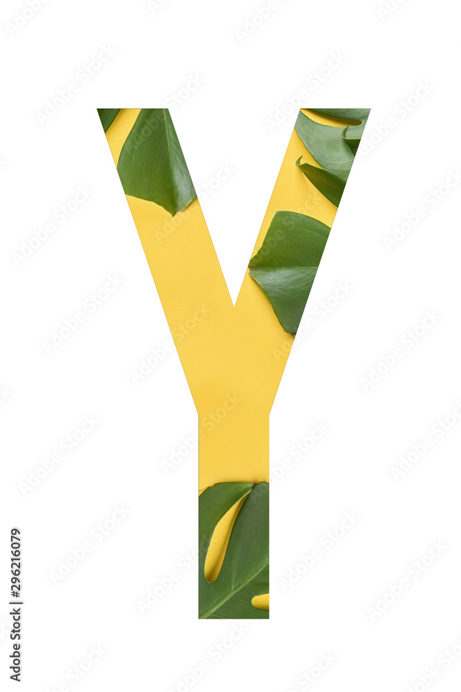 Flower font Alphabet Y made of Real alive flowers monstera on yellow ...