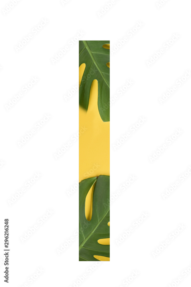 Flower font Alphabet I made of Real alive flowers monstera on yellow ...