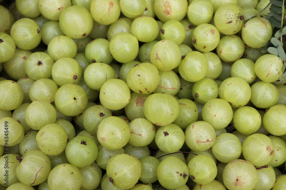 Amla Background. Healthy Green Indian Gooseberry Amla Stock Photo ...