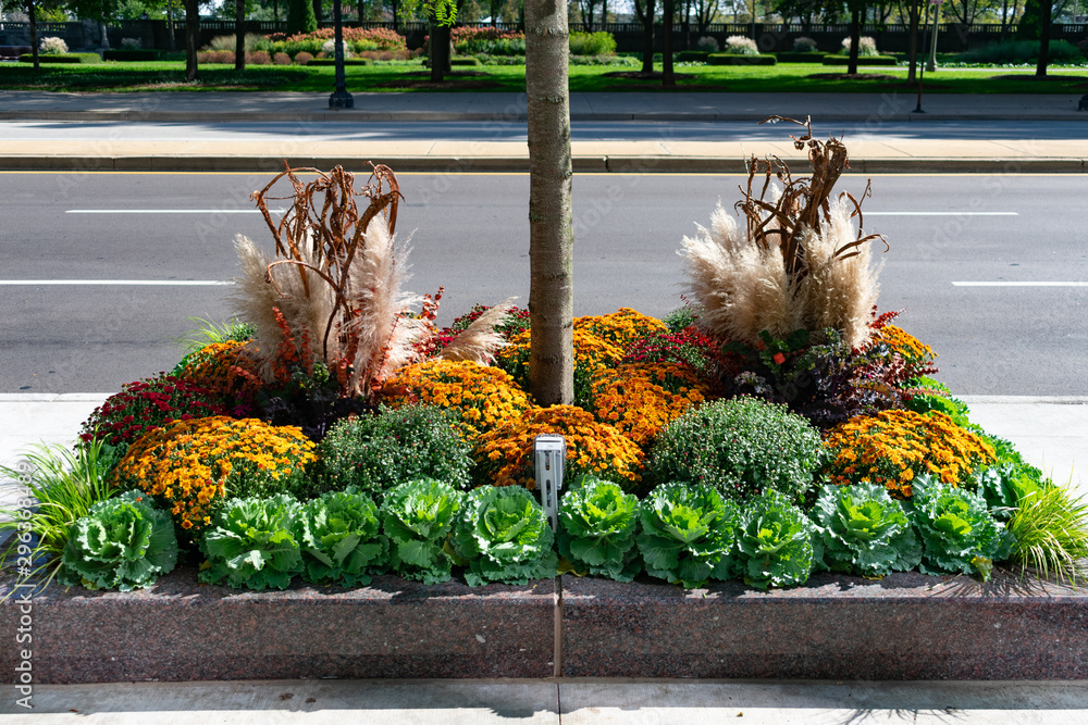 Autumn Flower and Plant Display in a Planter along Michigan Avenue in ...