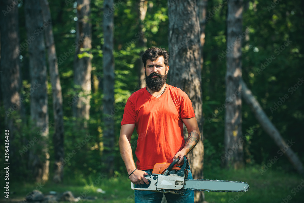 Lumberjack with chainsaw in his hands. Chainsaw. Deforestation is a ...