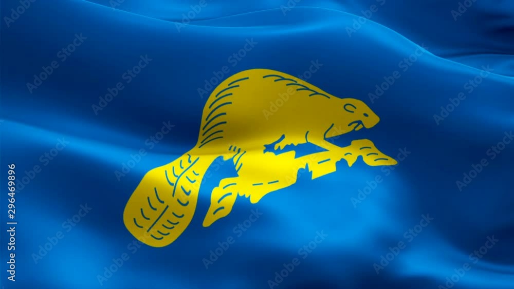 Oregon Beaver flag waving. National 3d United States flag waving. U.S ...