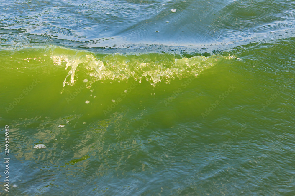 green water in the sea lagoon. the lagoon is a bay separated from the ...