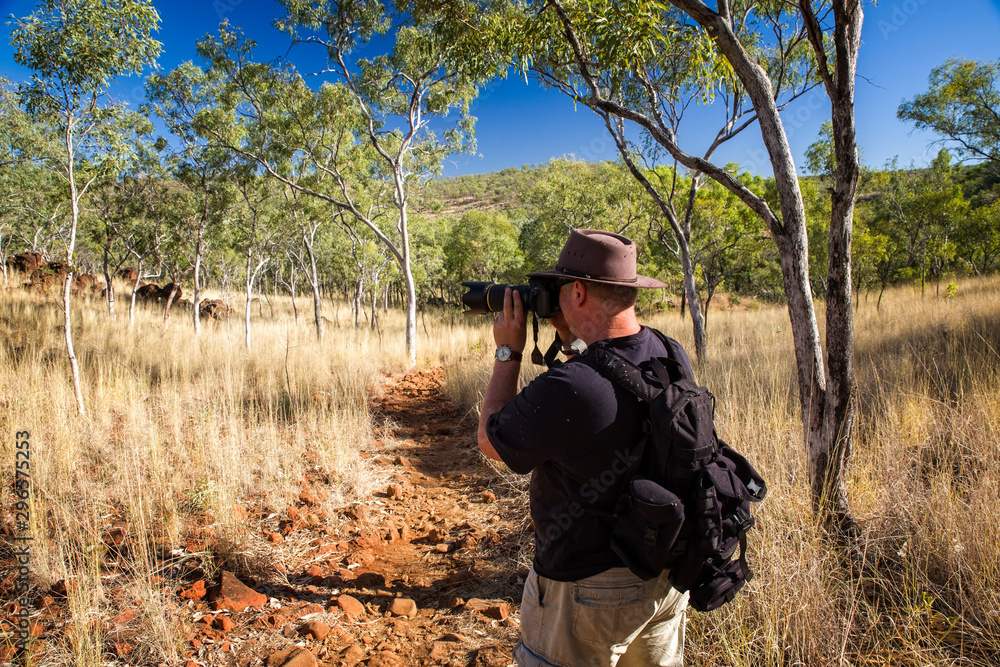 Nature photographer on a hiking trip at the Australian outback between ...