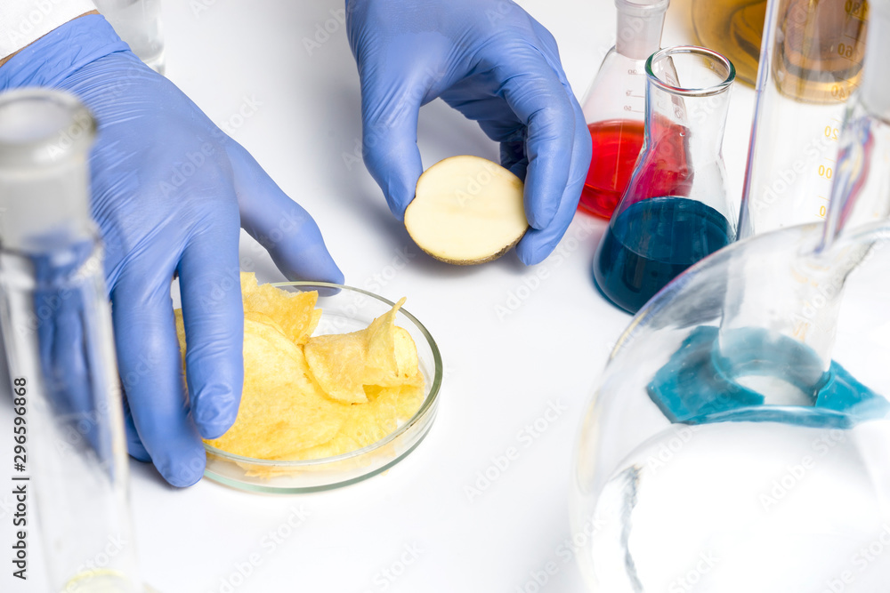 Workplace lab assistant top view. Food safety laboratory procedure ...