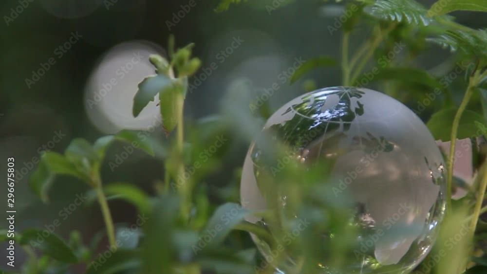 World globe crystal glass on green leaves bush background ...