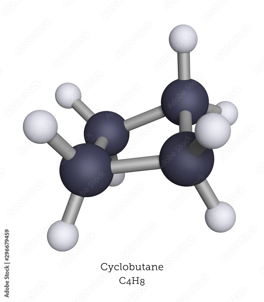 Cyclobutane shown as a molecular model Stock Illustration | Adobe Stock