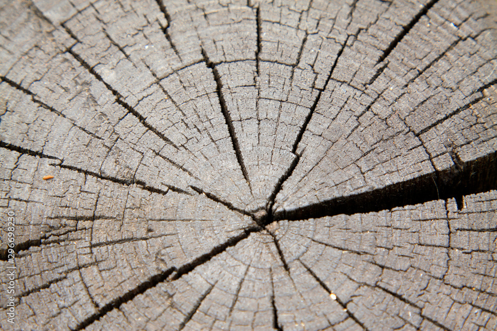 Black sleeper cross-section texture Stock Photo | Adobe Stock