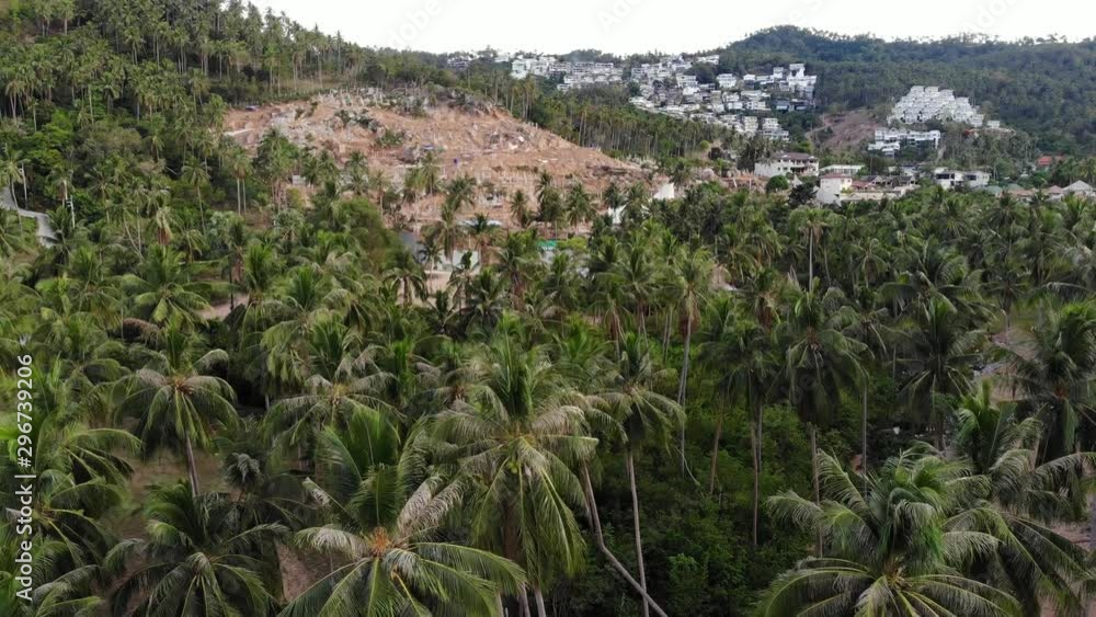 Tropical terrain covered with endangered forests and luxury villas ...