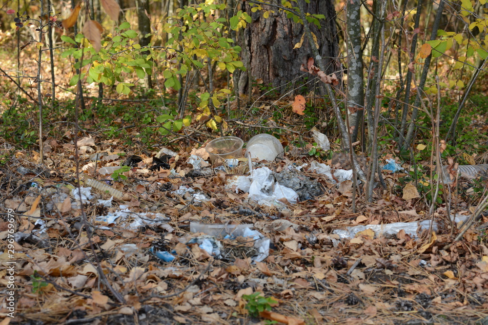 Garbage in forest. People illegally thrown garbage into forest. Concept ...