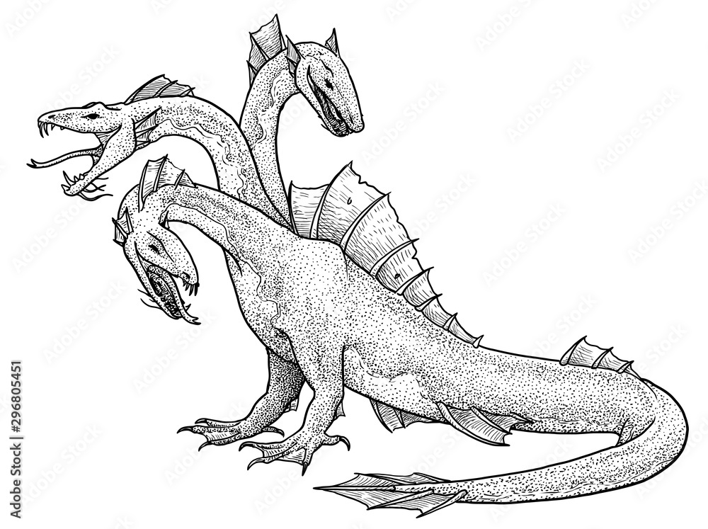 Hydra illustration, drawing, engraving, ink, line art, vector Stock ...