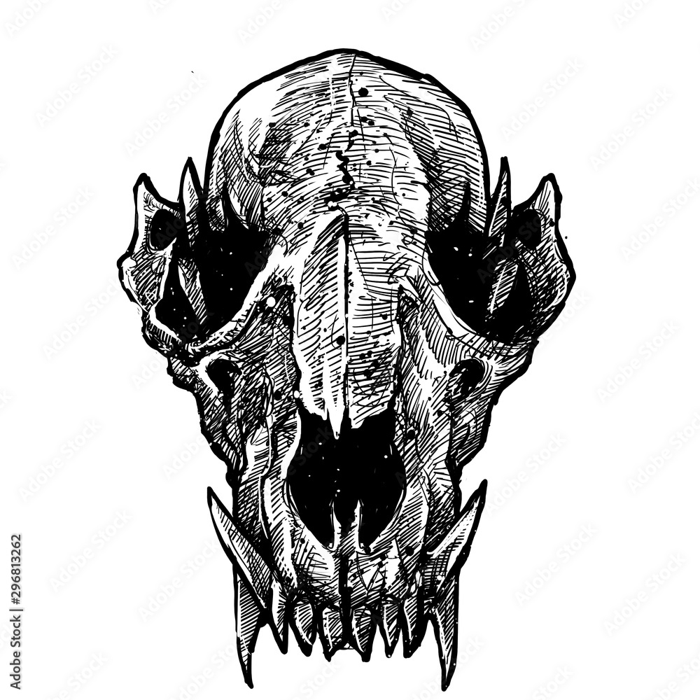 Wolf Skull Front Drawing