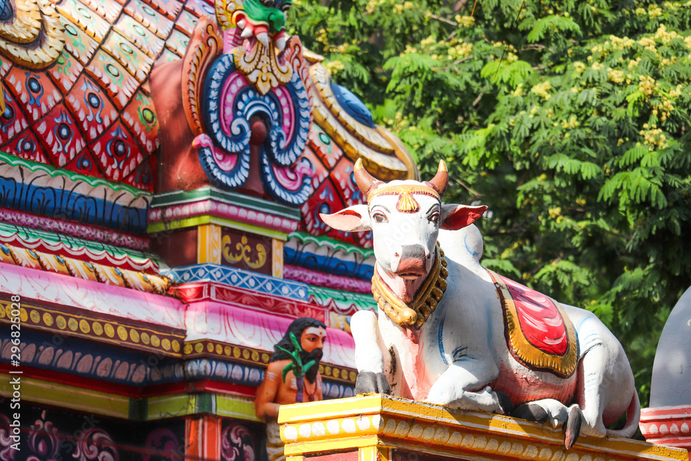 Statue Gopuram Kapaleeswarar Temple Holy Cow Religious Sacred India ...