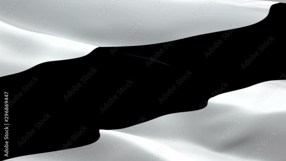 Rainbow Null gender Pride Flag video waving in wind. Agender Flag ...