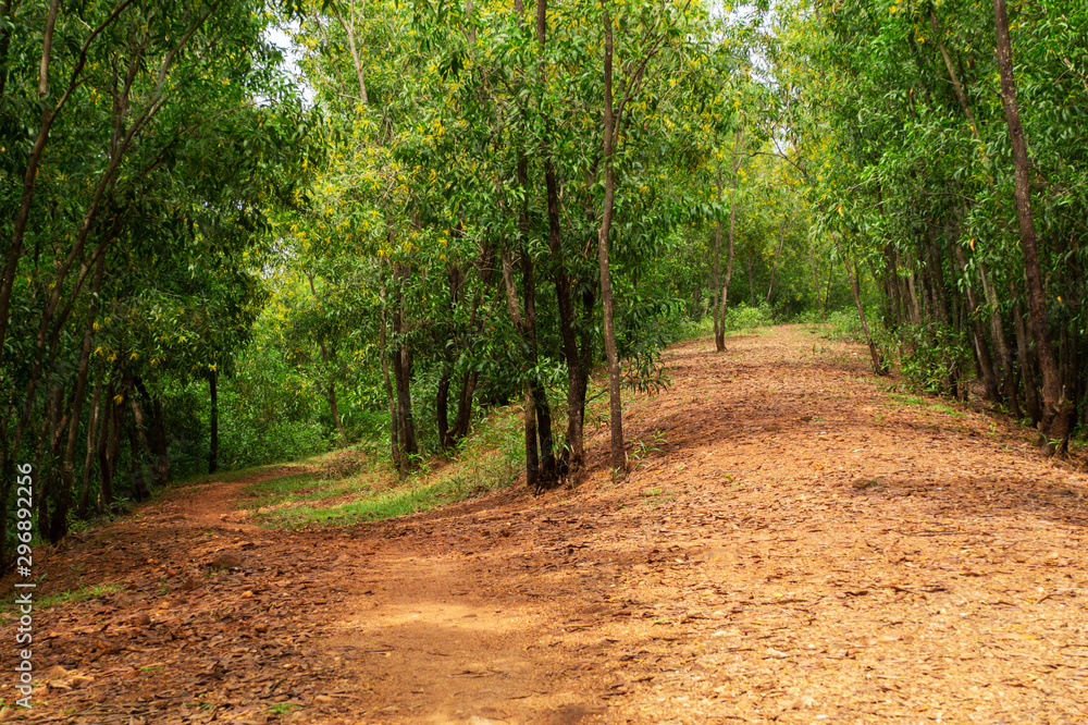 Villages Of Inside Trees