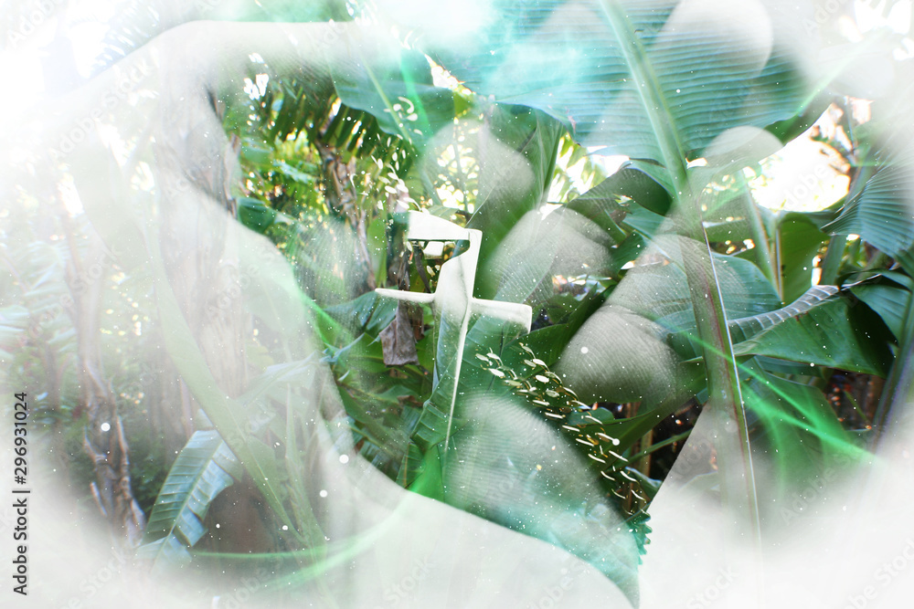 Beautiful Jesus Christ Art With Gorgeous Tropical Nature Background ...