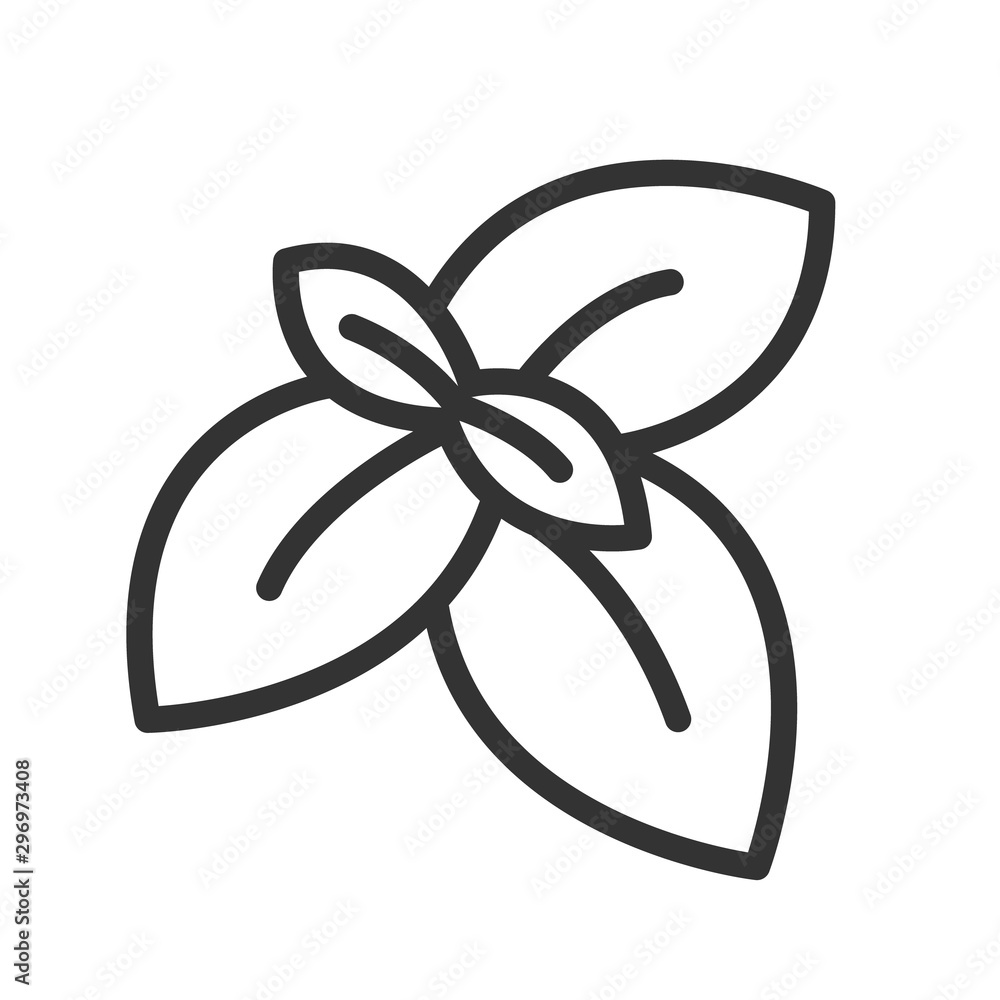 Oregano Leaf Vector