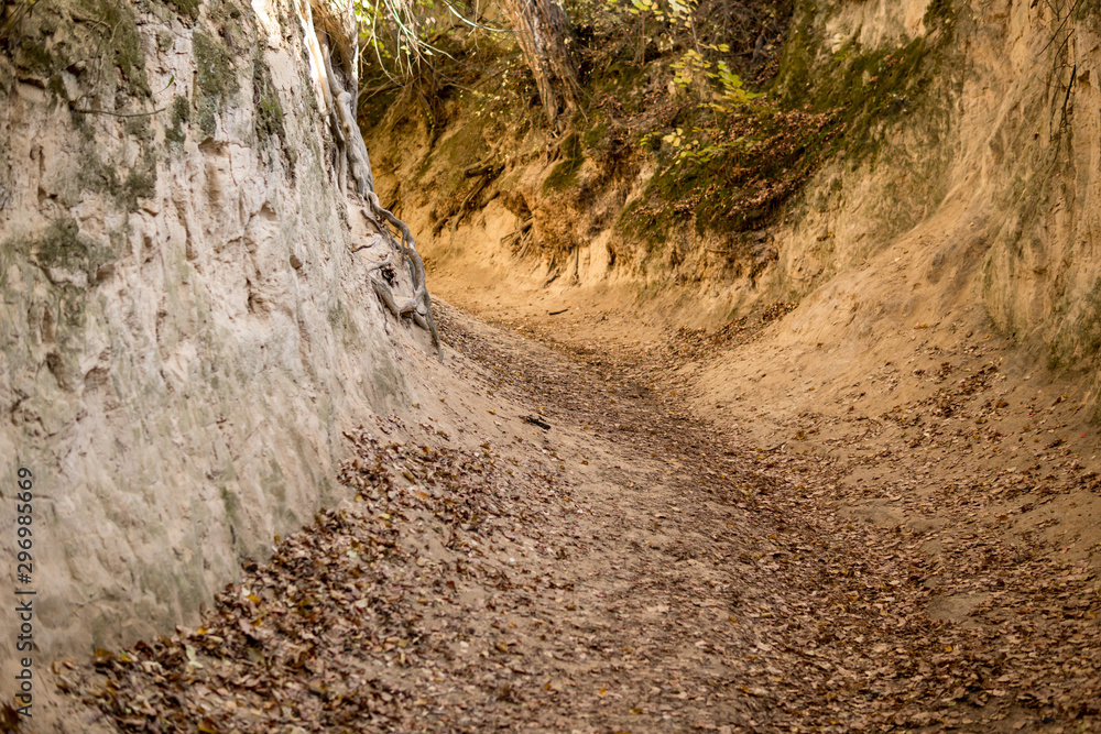 bottom of a gully landform formed in loess Stock Photo | Adobe Stock