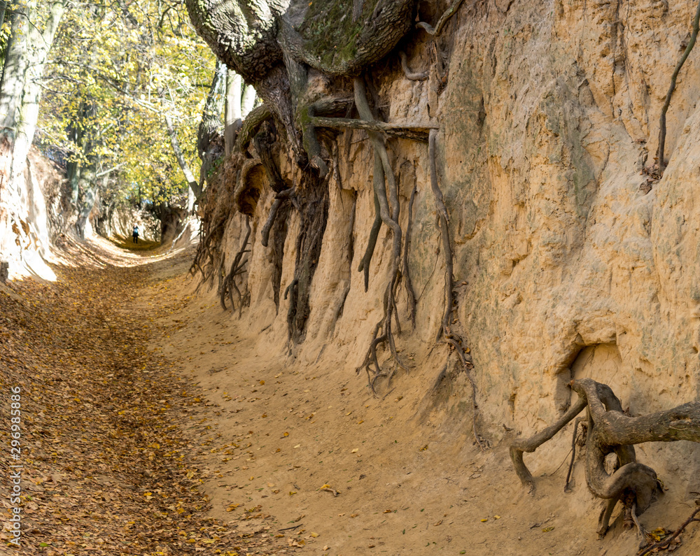 bottom of a gully landform formed in loess Stock Photo | Adobe Stock
