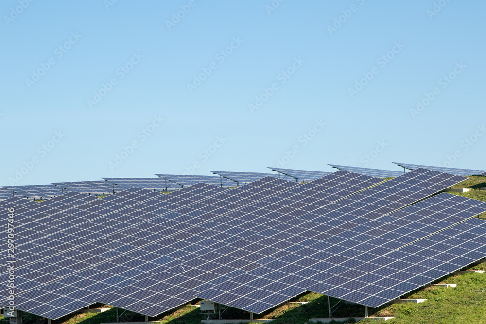 Solar farm on a hill in The Netherlands Stock Photo | Adobe Stock