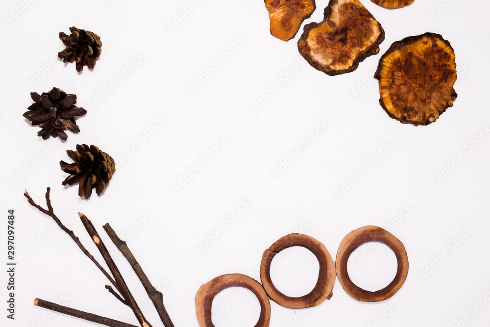 autumn composition. cross-section of tree limbs and branches on white ...