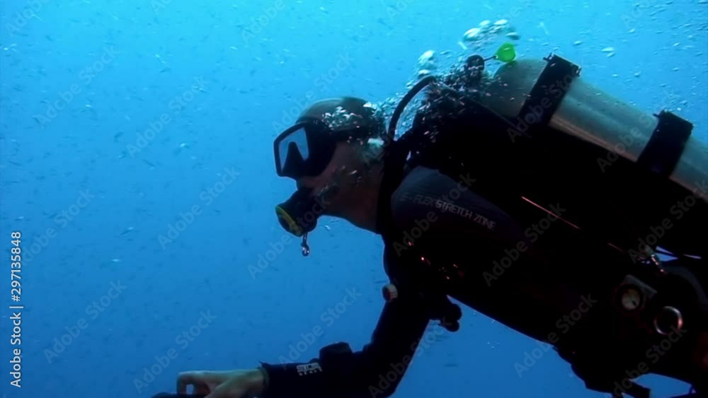 Diver with underwater scooter in school of fish underwater Philippine ...