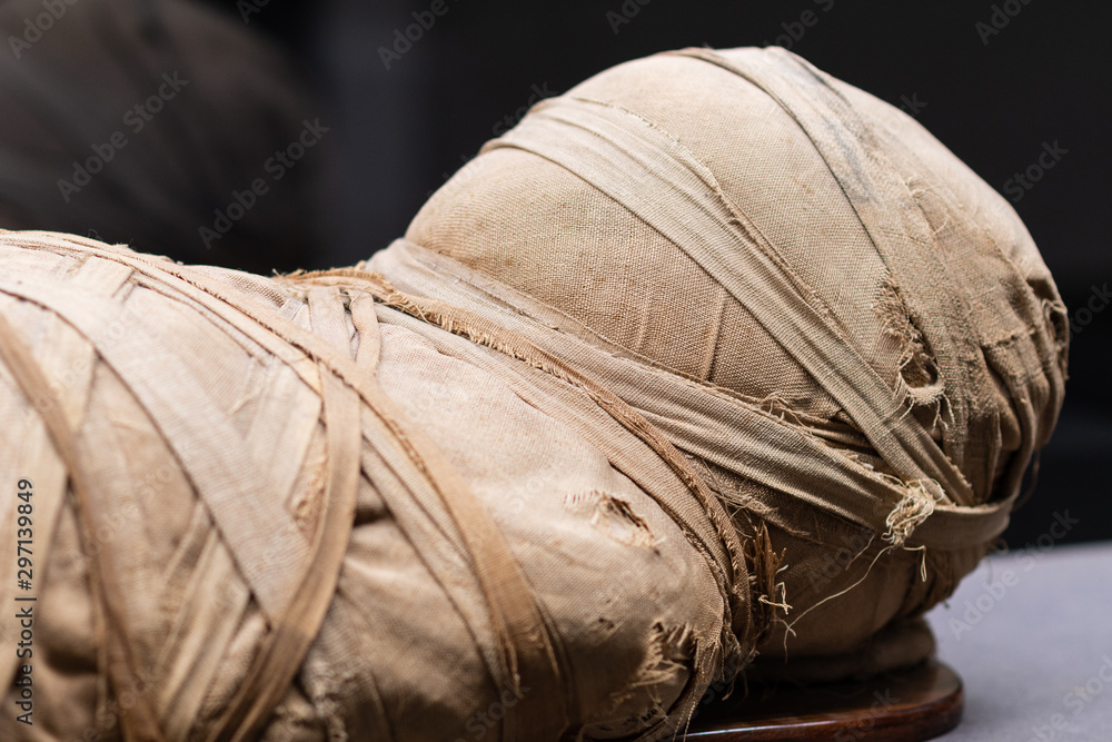 Ancient Egyptian mummy photographed at the archaeological museum of ...