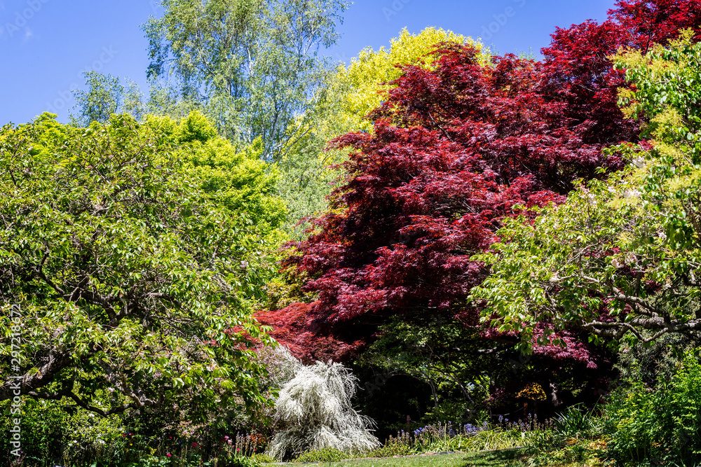 Collection of different tree specimens with different colours and ...