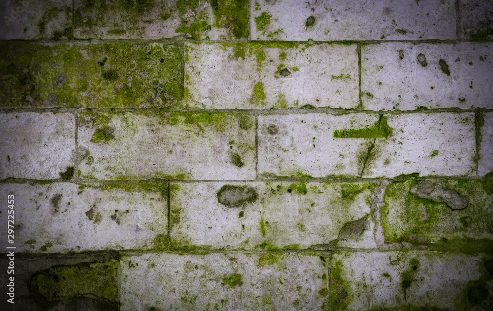 Mossy Brick Texture