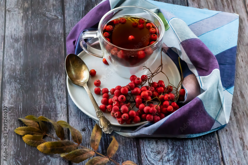 Hot healing tea, mountain ash tea. Applied with a lack of vitamins ...