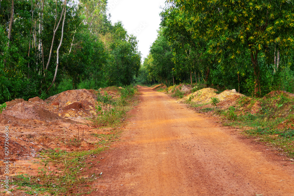 soil made rural way have gone inside the village and forest or jungle ...