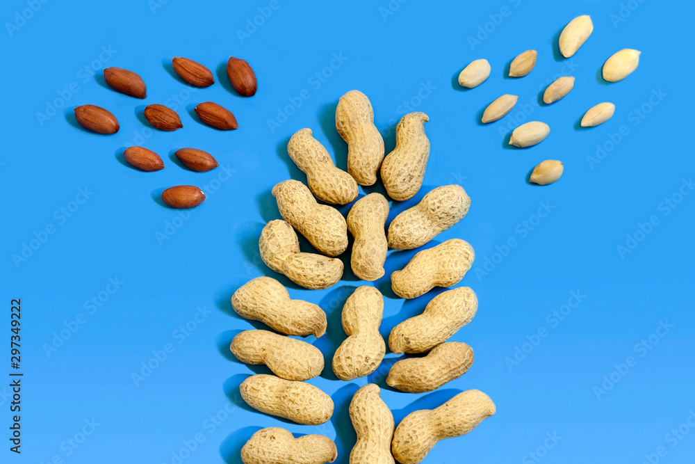 Peanuts nuts in the shape of a tree on a light blue background. Top ...