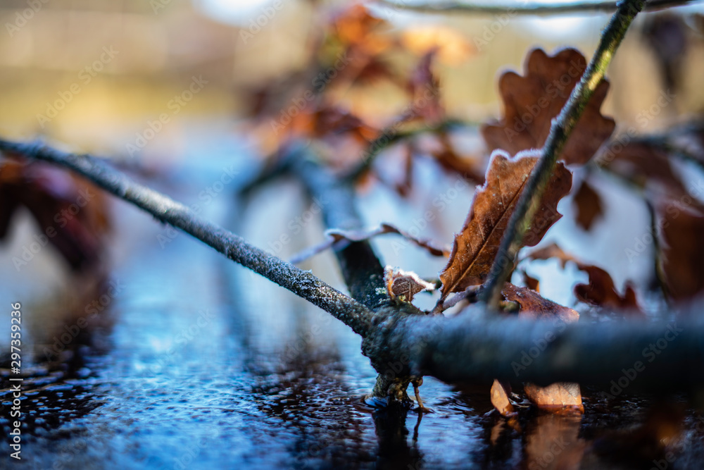 frozen Stock Photo | Adobe Stock