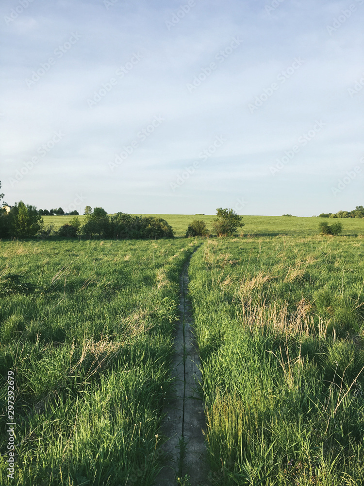 Pathway through grass field Stock Photo | Adobe Stock