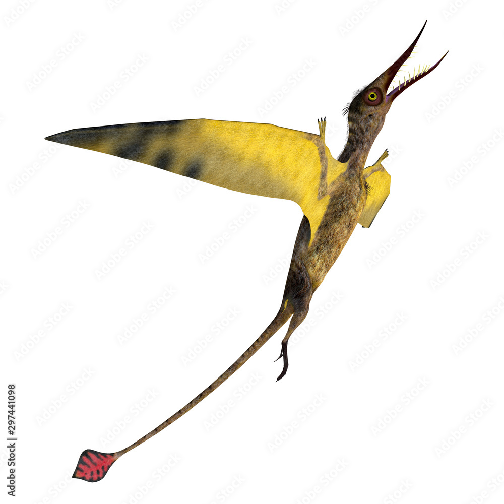 Rhamphorhynchus Pterosaur Climbing - Rhamphorhynchus was a carnivorous ...