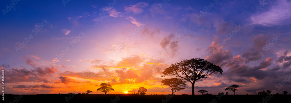 African Sunset Panorama