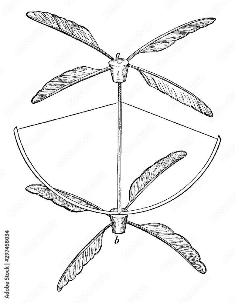 Aerial Screw
