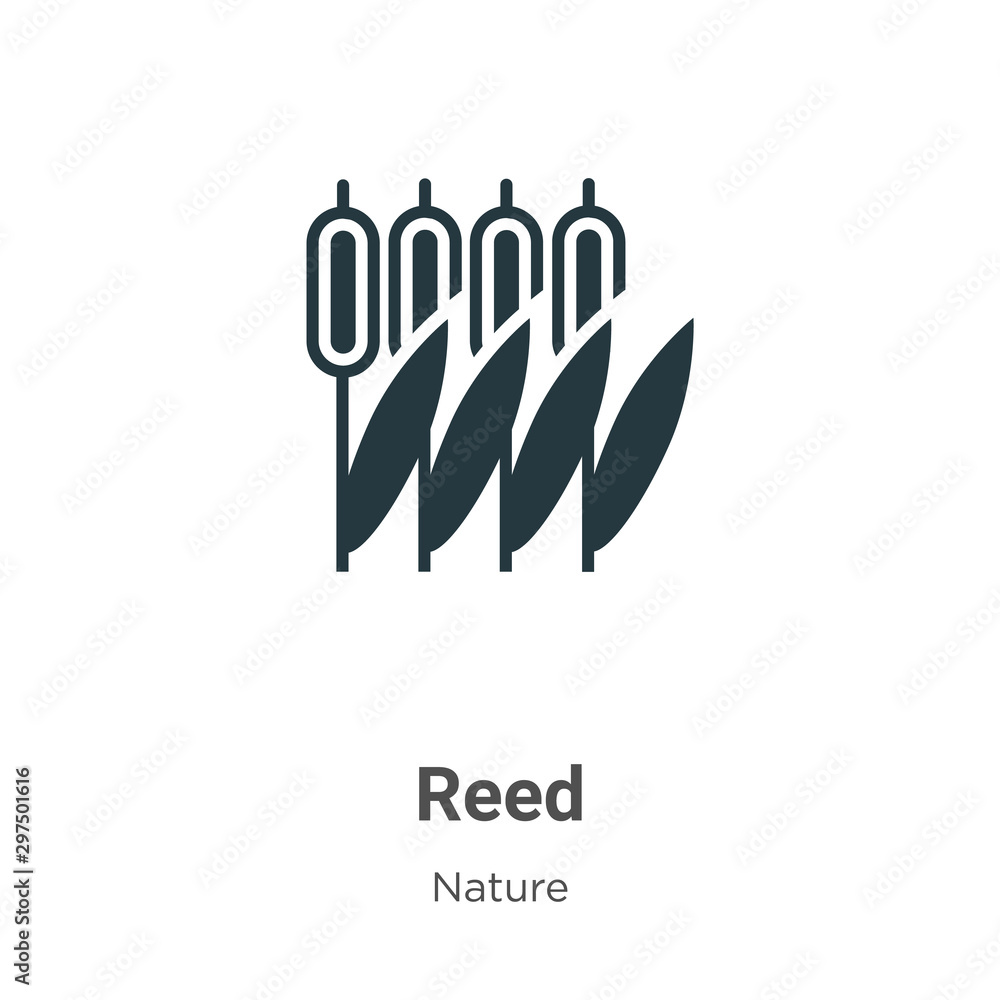 Reed vector icon on white background. Flat vector reed icon symbol sign ...