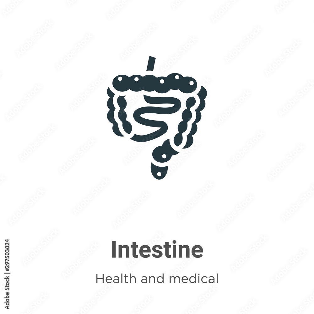 Intestine vector icon on white background. Flat vector intestine icon ...